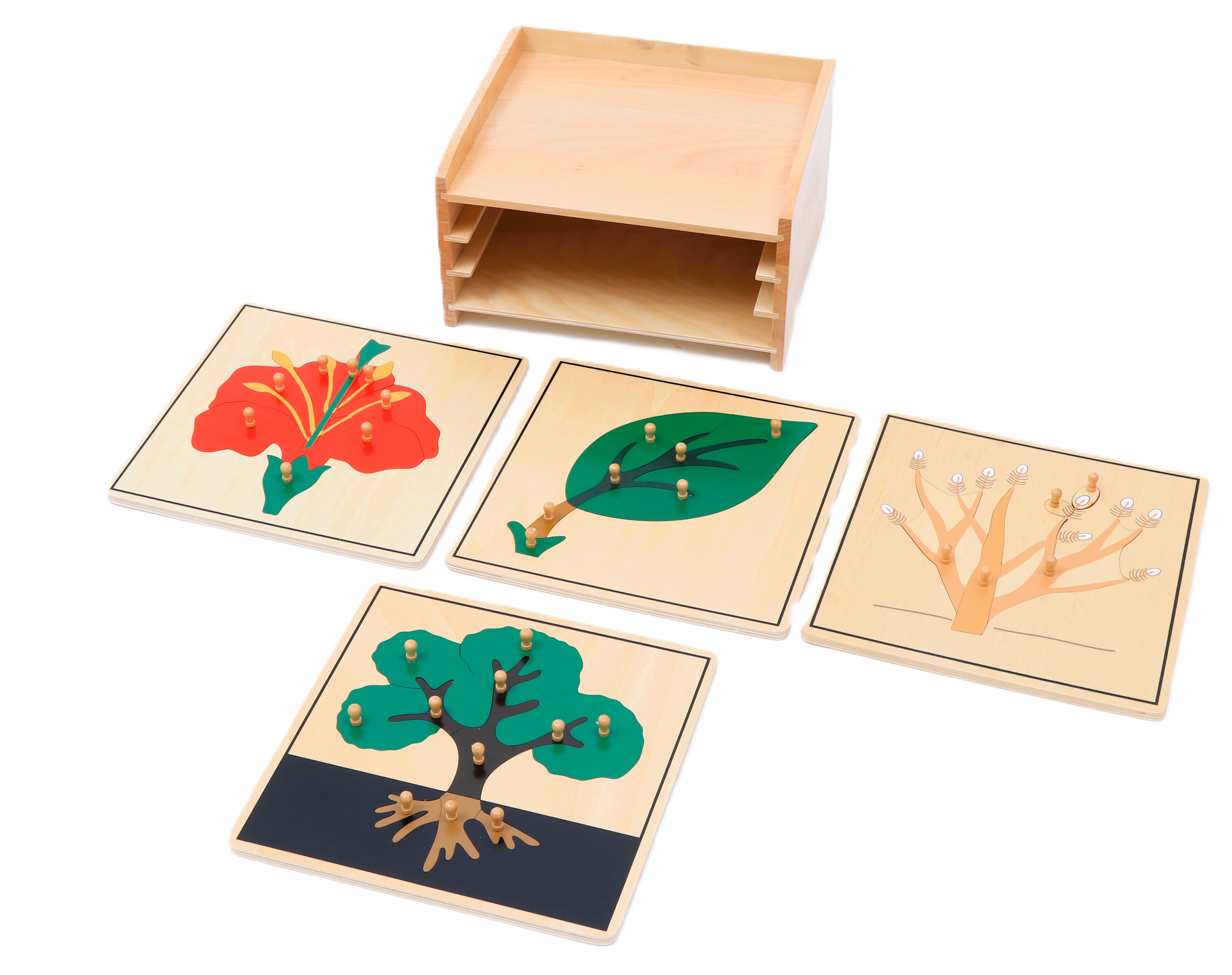 Gabinete de Rompecabezas botánico con cajón (4 rompecabezas incluidos ...
