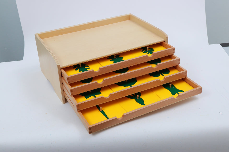 Gabinete botánico (resques de hojas) – Bemerry Montessori